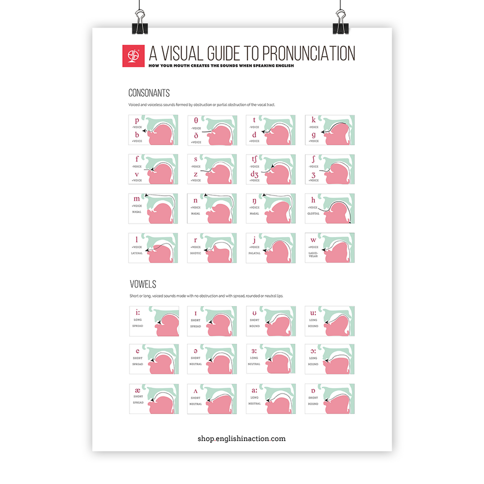 A Visual Guide to Pronunciation | EFL Poster for Teaching Consonant an ...